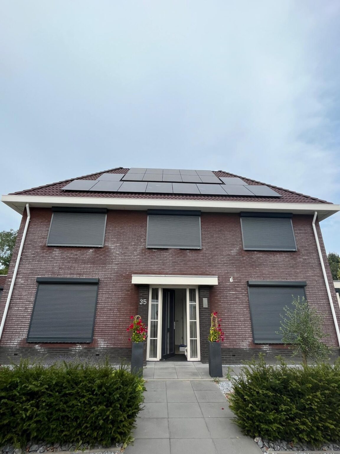 Aiko zonnepanelen: slimme keuze voor een groene toekomst